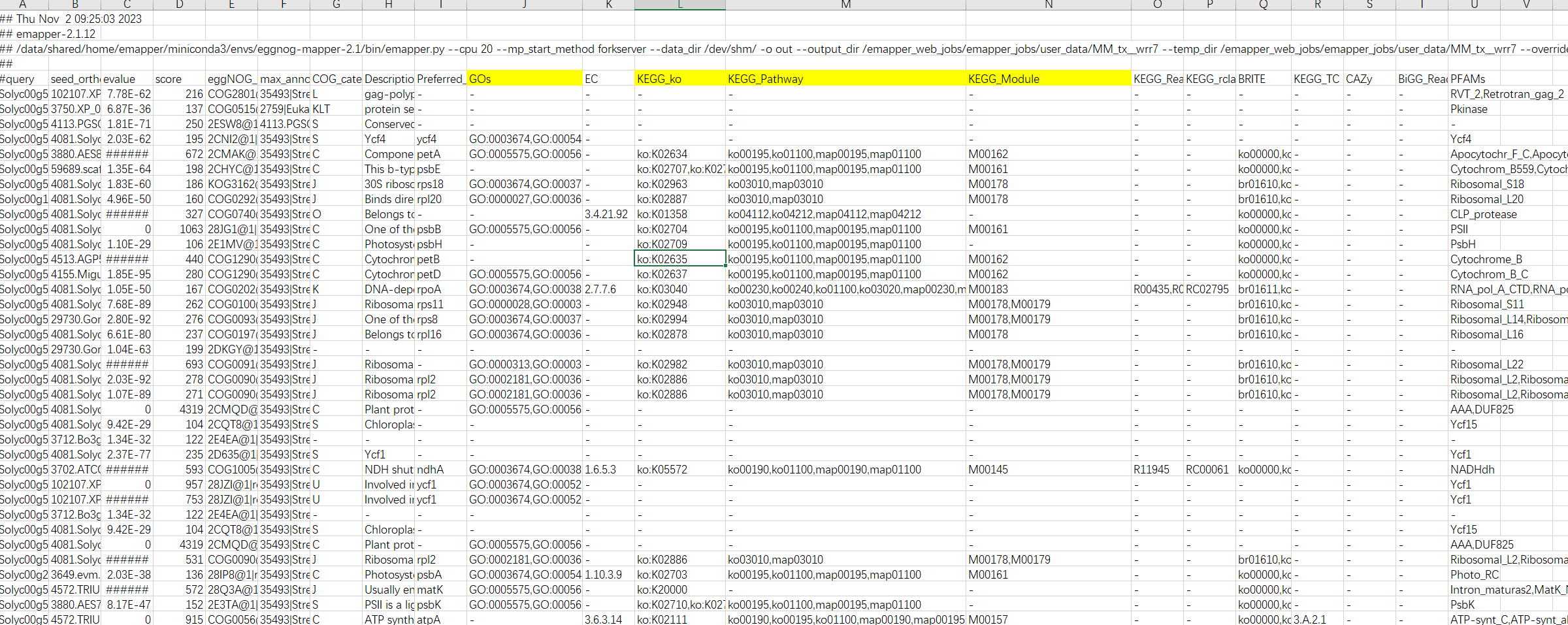模式植物构建orgDb数据库 | 以org.Slycompersicum.eg.db为例_org.ljaponicusr.eg.db-CSDN博客