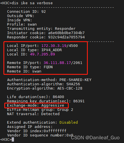 VSR公网对接strongSwan NAT穿越-CSDN博客