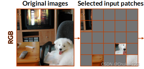 MultiMAE：多模式多任务掩码自编码器-CSDN博客