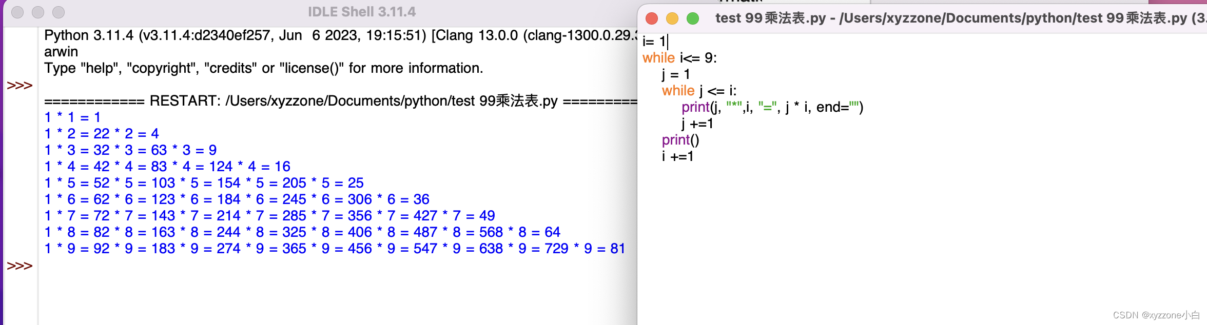 分支和循环（py）-CSDN博客