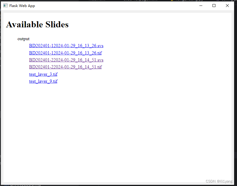 openslide封装成自己的app(PyQt)_openslide python-CSDN博客