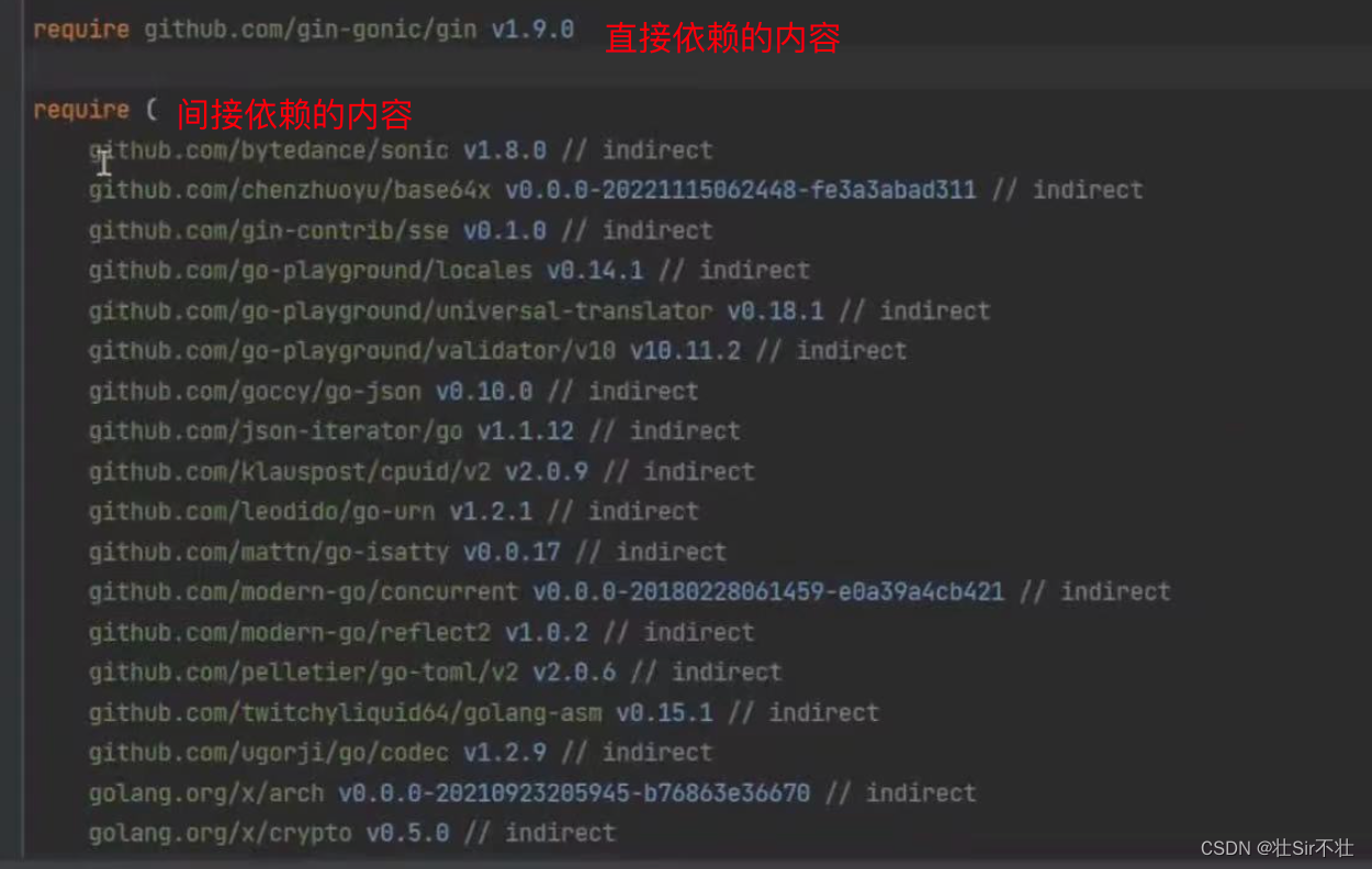 go mod 依赖管理_go mod 下载依赖-CSDN博客