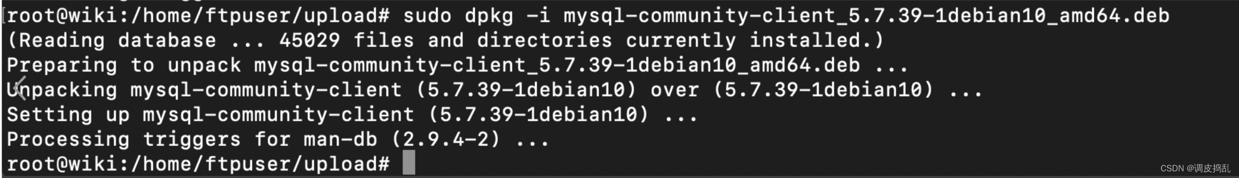 实战 本地服务器Confluence 7.13部署 一篇就够（从0开始安装配置 Debian11 + Mysql + Java）超详细_confluence部署-CSDN博客