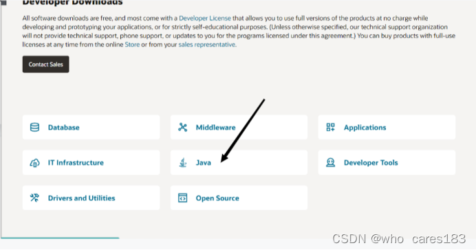 2022java的jdk的安装和环境变量的配置()jdk22安装教程及环境变量配置 Csdn博客 3880