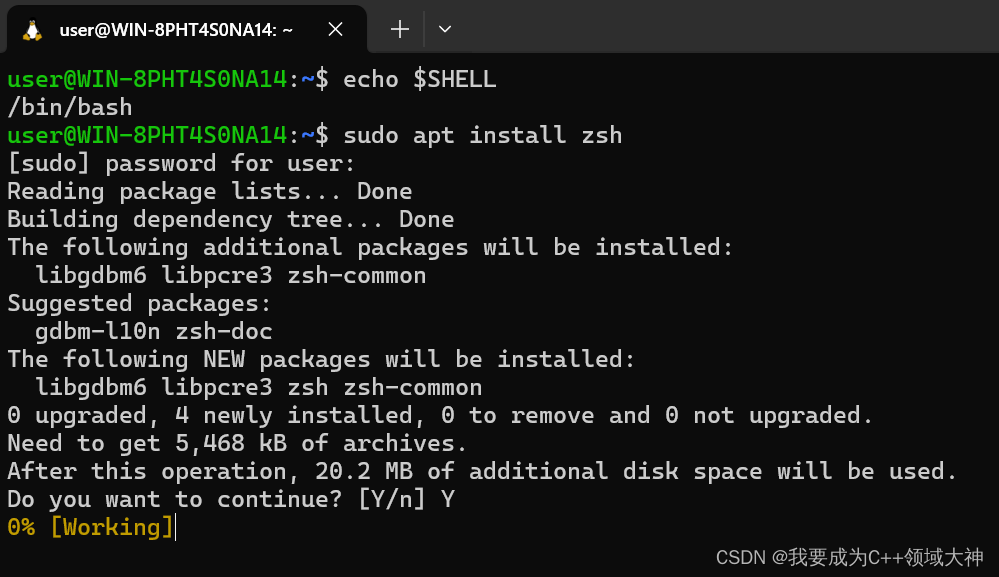 【Linux】Windows下打造炫酷Linux终端 zsh+oh my zsh+powerlevel10k_wsl怎么配置powerlevel10k-CSDN博客