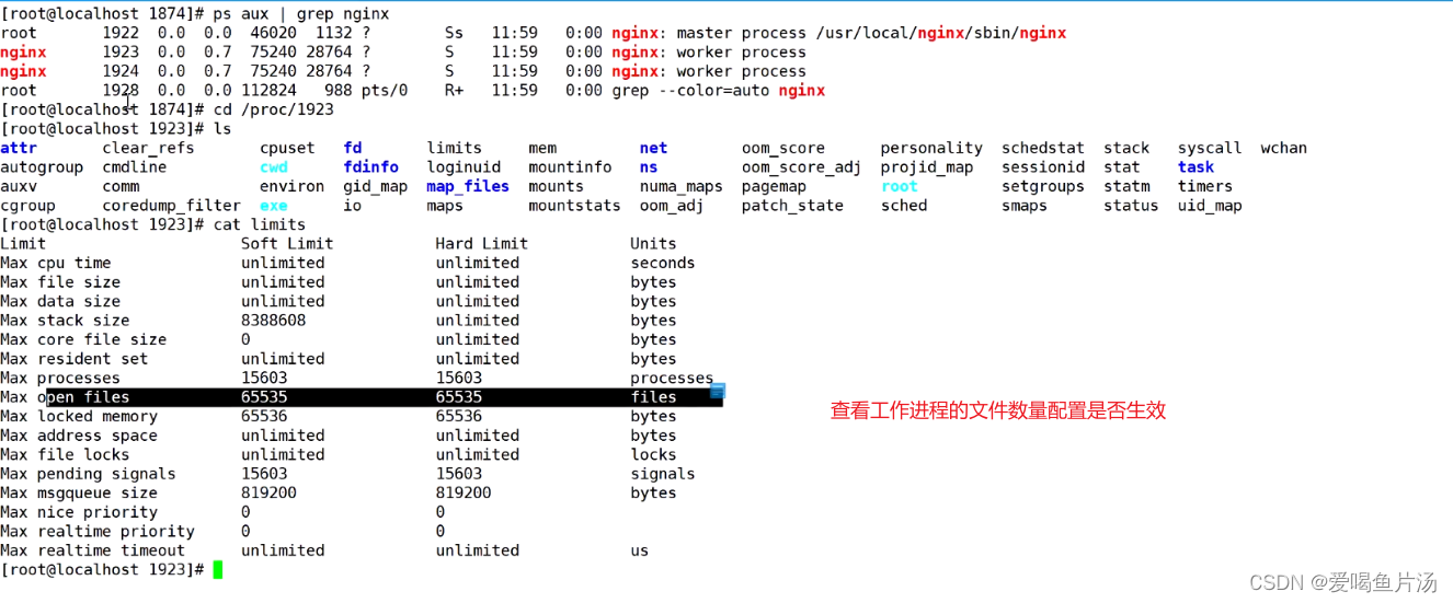 Nginx网站服务【☆☆☆】_after=network.target-CSDN博客