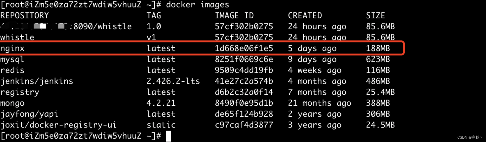 使用Docker安装Nginx_docker 安装nginx-CSDN博客