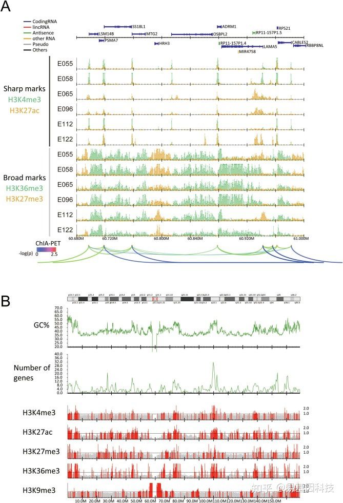 易基因｜ChIP-seq分析方法：实用的工作流程和高级应用_chip seq motif-CSDN博客