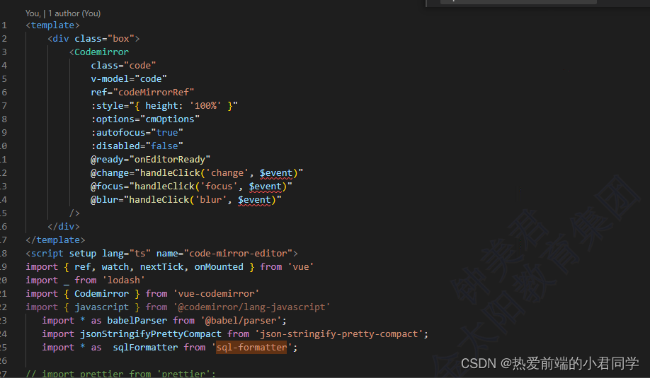 使用vue Codemirror做代码编辑器，并实现格式化代码 Csdn博客