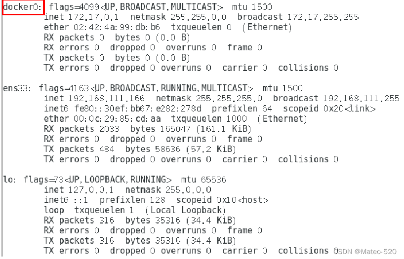 【Docker】(五) Docker 网络_ifconfig ens33 lo virbr0 docker0-CSDN博客