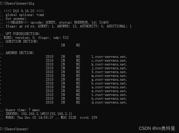 Windows10 下安装 dig 命令的步骤（一）_windows dig-CSDN博客