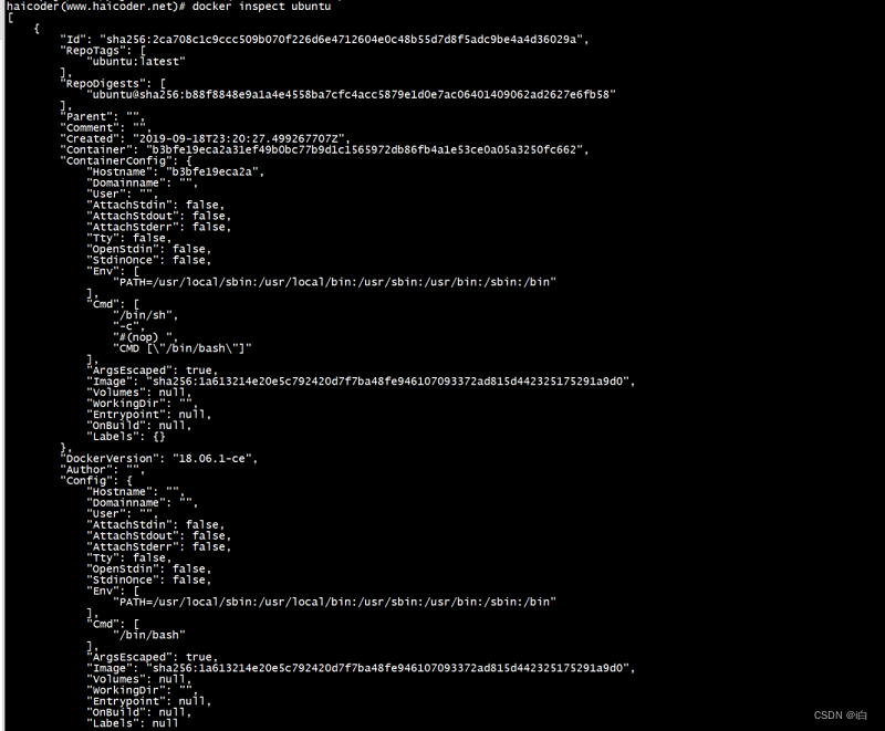 【自学Docker】Docker push命令-CSDN博客