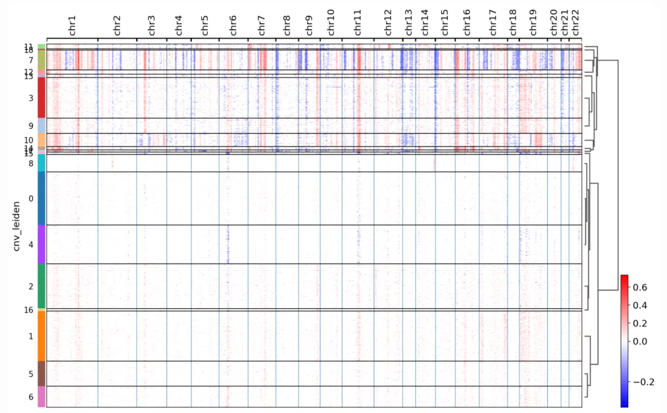 10X单细胞（10X空间转录组）CNV分析之inferCNVpy-CSDN博客