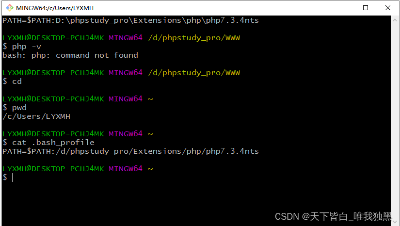 Windows如何正确设置php环境变量以在git Bash中运行命令windows配置php环境变量 Csdn博客