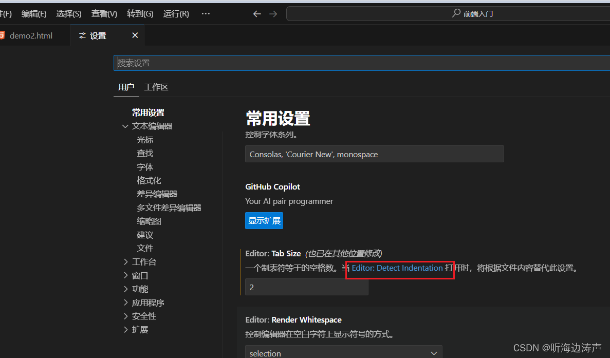 在vscode中设置Tab Size无效的解决方法_vscode tabsize-CSDN博客