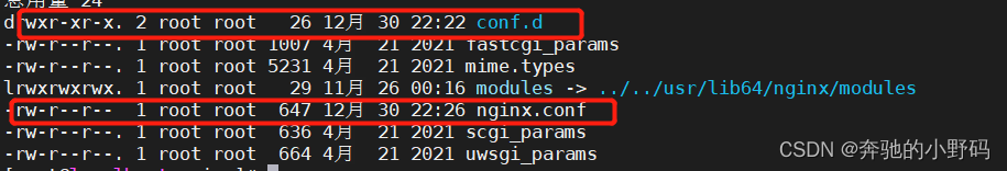 浅谈linux中nginx配置_linux系统默认从etc路径打开nginx配置-CSDN博客