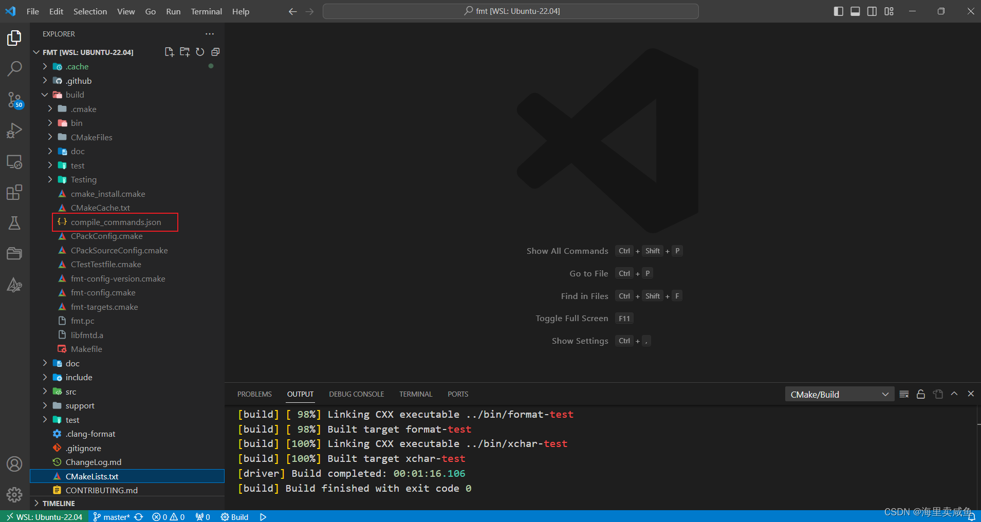 基于VSCode+Clangd+lldb搭建Linux C++环境_vscode lldb-CSDN博客