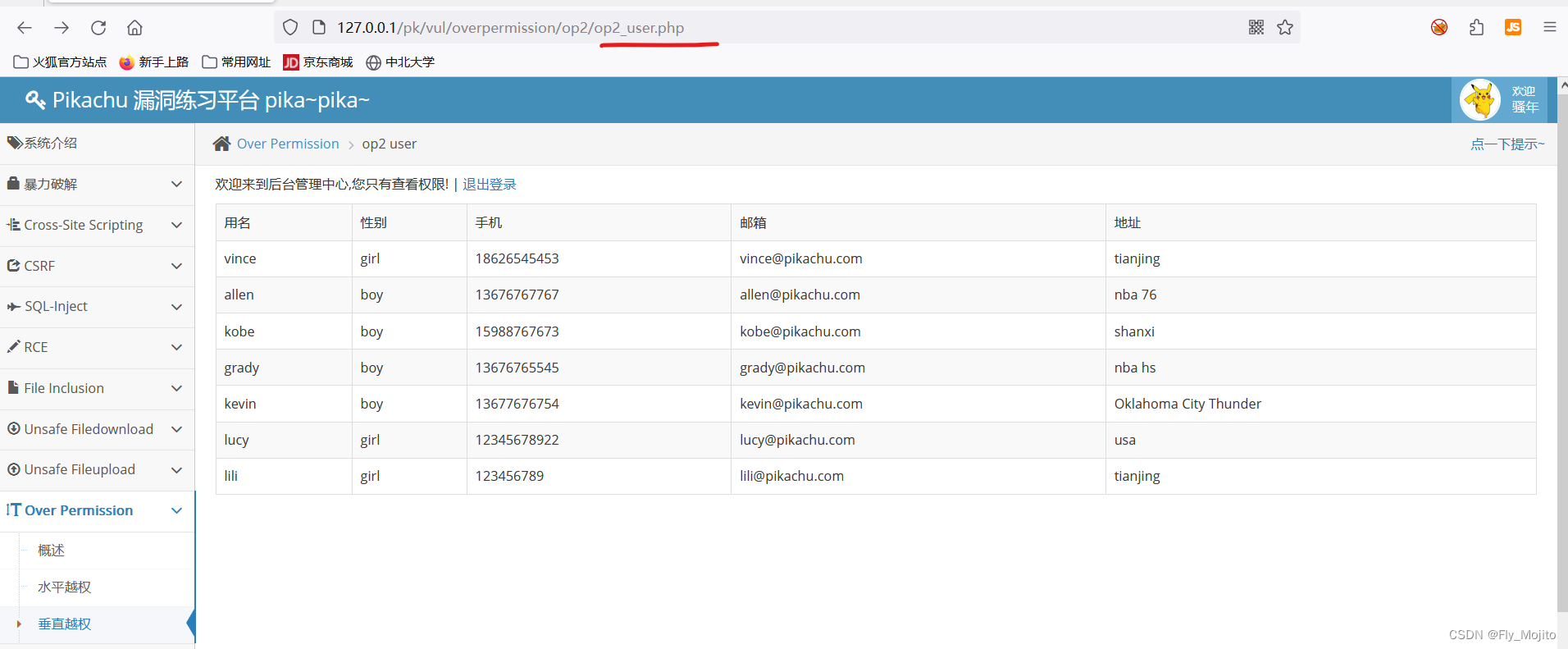 皮卡丘Over Permission-CSDN博客