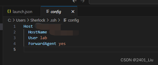 VS Code远程控制服务器SSH_vscode forwardagent-CSDN博客