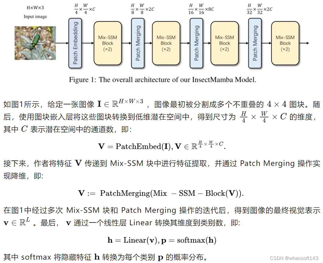 InsectMamba:一种融合多视觉编码策略的新型昆虫害虫分类模型-CSDN博客