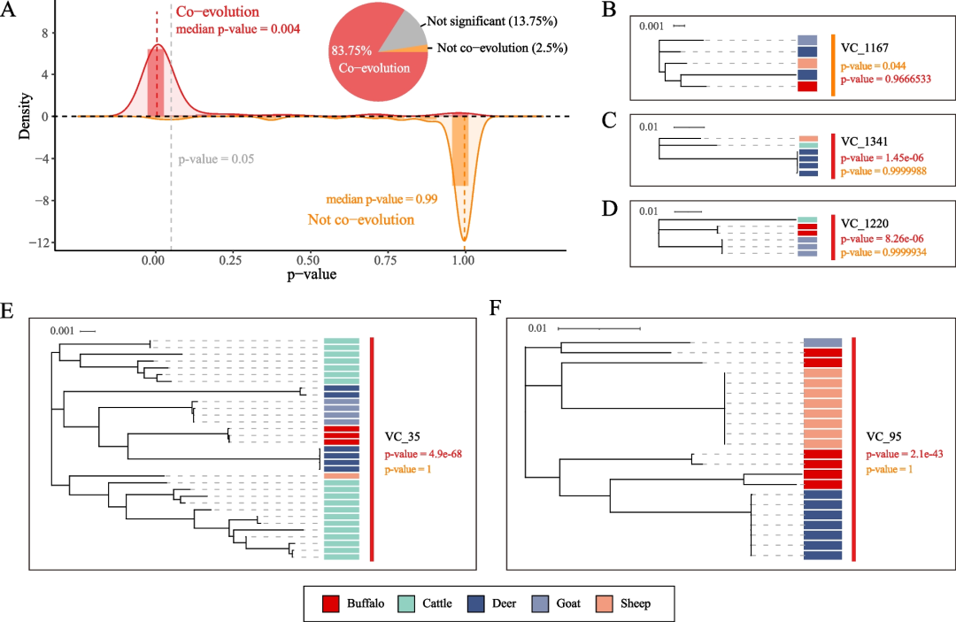 Microbiome | 华中科大陈卫华等构建URPC助力反刍动物胃肠道噬菌体综合研究-CSDN博客