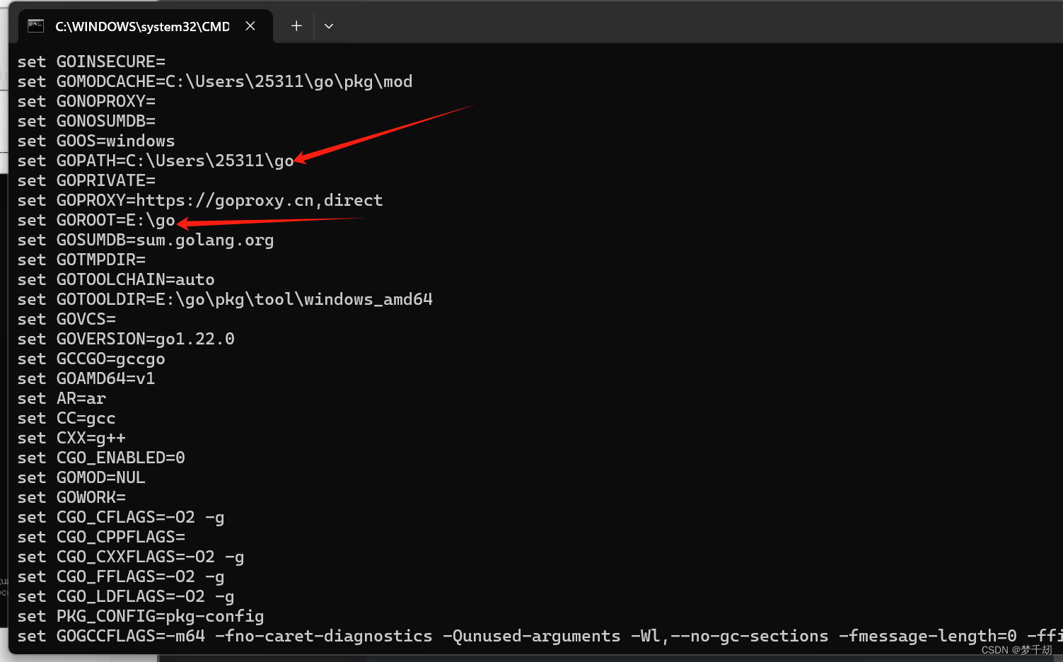 GO语言和GoLand环境配置_goland配置-CSDN博客