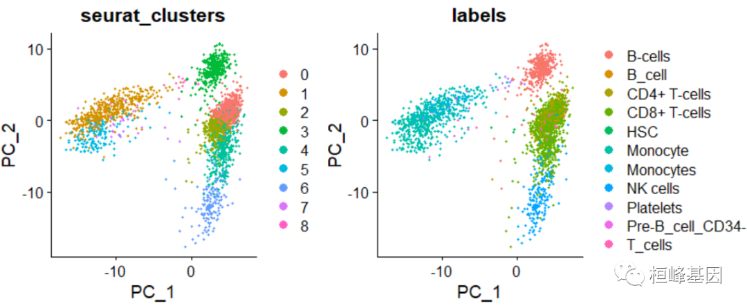 SCS【6】单细胞转录组之细胞类型自动注释 (SingleR)_单细胞注释-CSDN博客