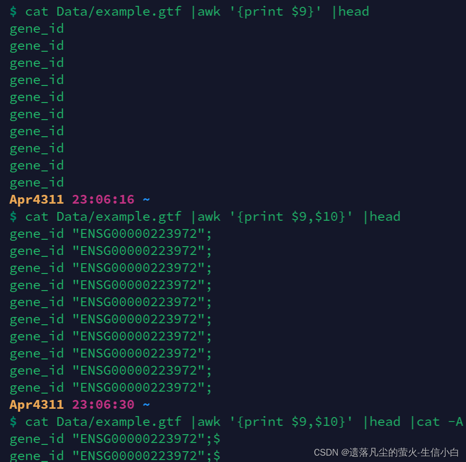 Linux进阶--vim编辑器和文本处理三驾马车(grep • sed • awk)_vim awk sed-CSDN博客