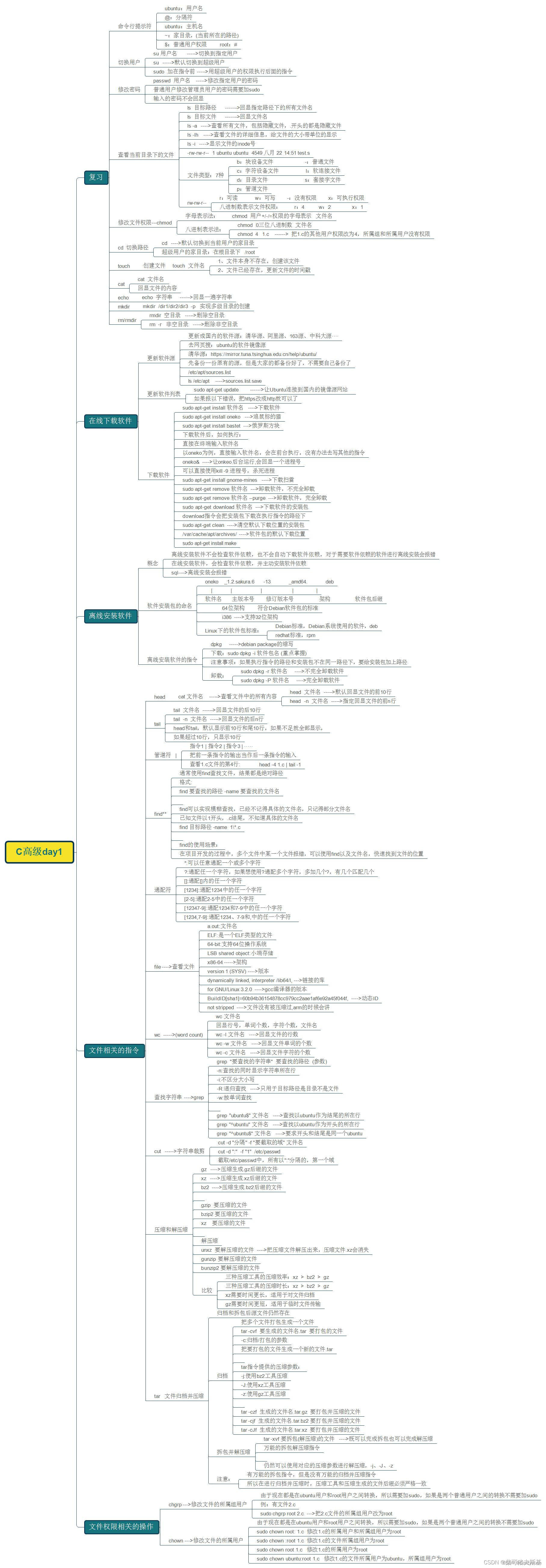 C高级Day1-CSDN博客