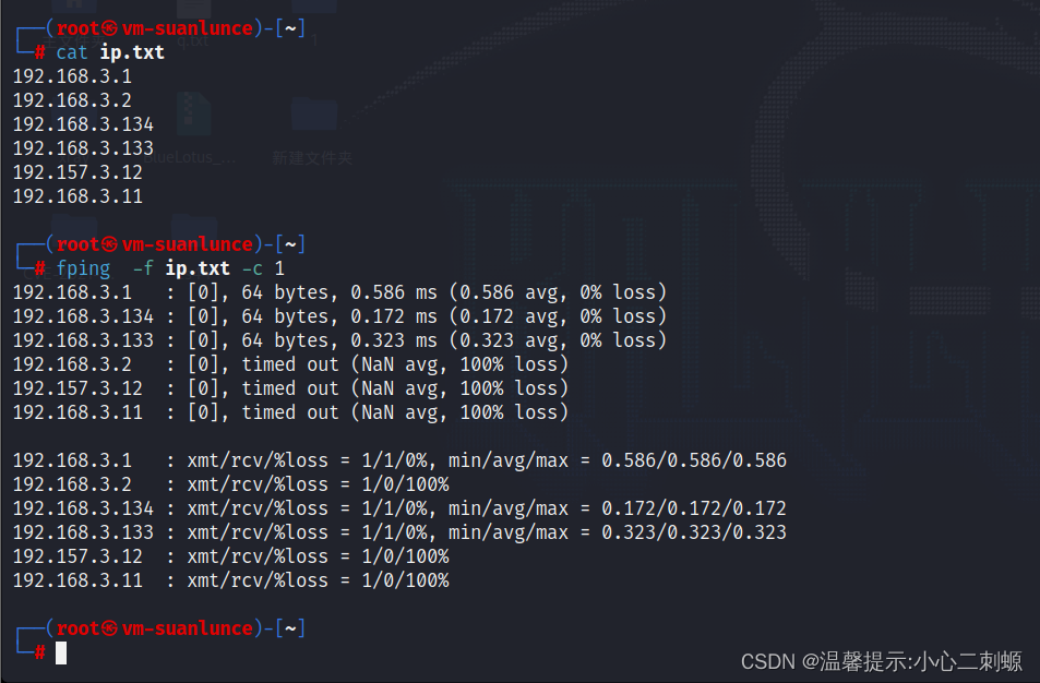 使用PING命令进行网络诊断：参数详解与应用-CSDN博客