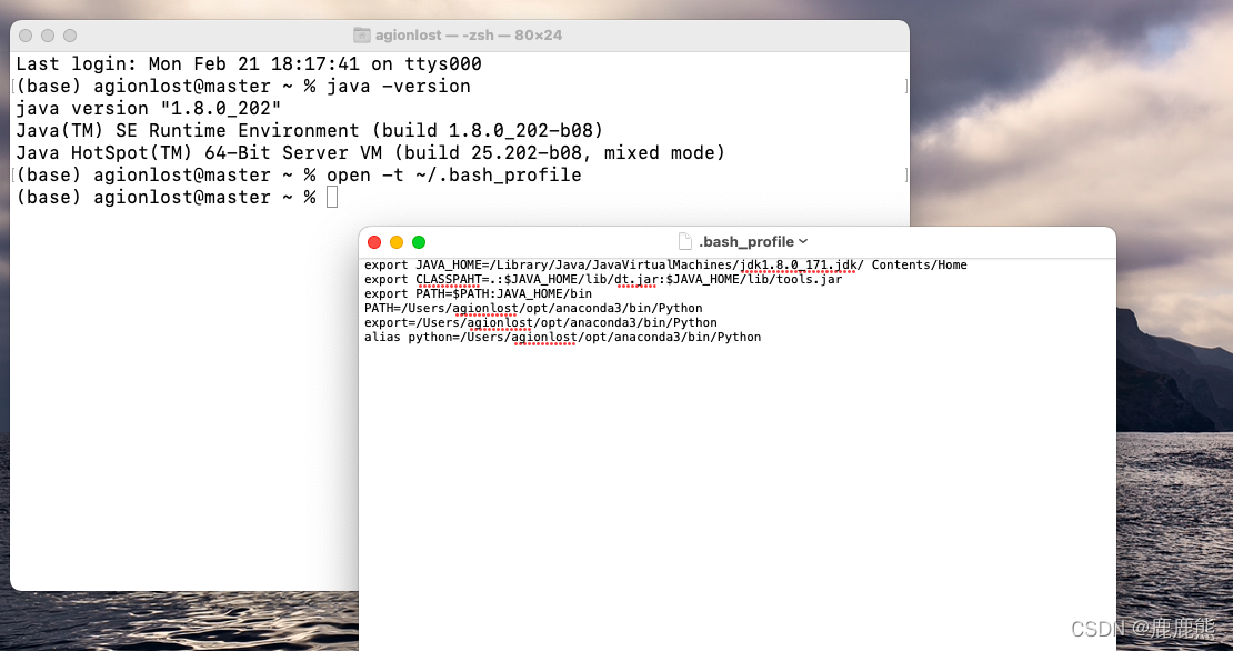 mac安装java jdk教程_macjdk安装教程-CSDN博客