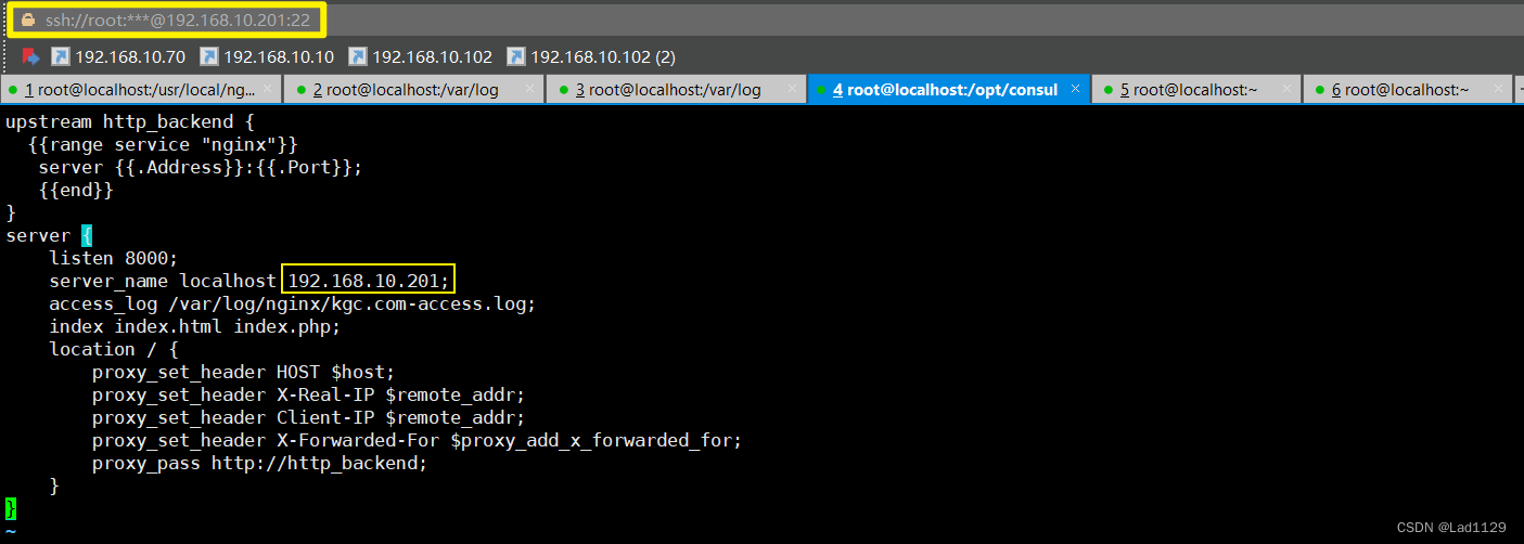 docker consul容器自动与注册_consul自动注册-CSDN博客