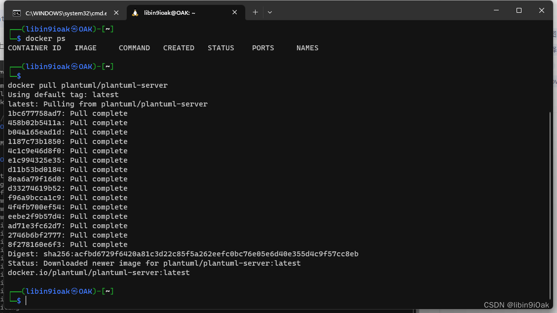 在本地Windows 11 系统的桌面版Docker上搭建PlantUML_plantuml windows-CSDN博客