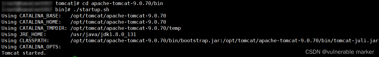 CentOS 7.x使用wget在线安装Tomcat-CSDN博客