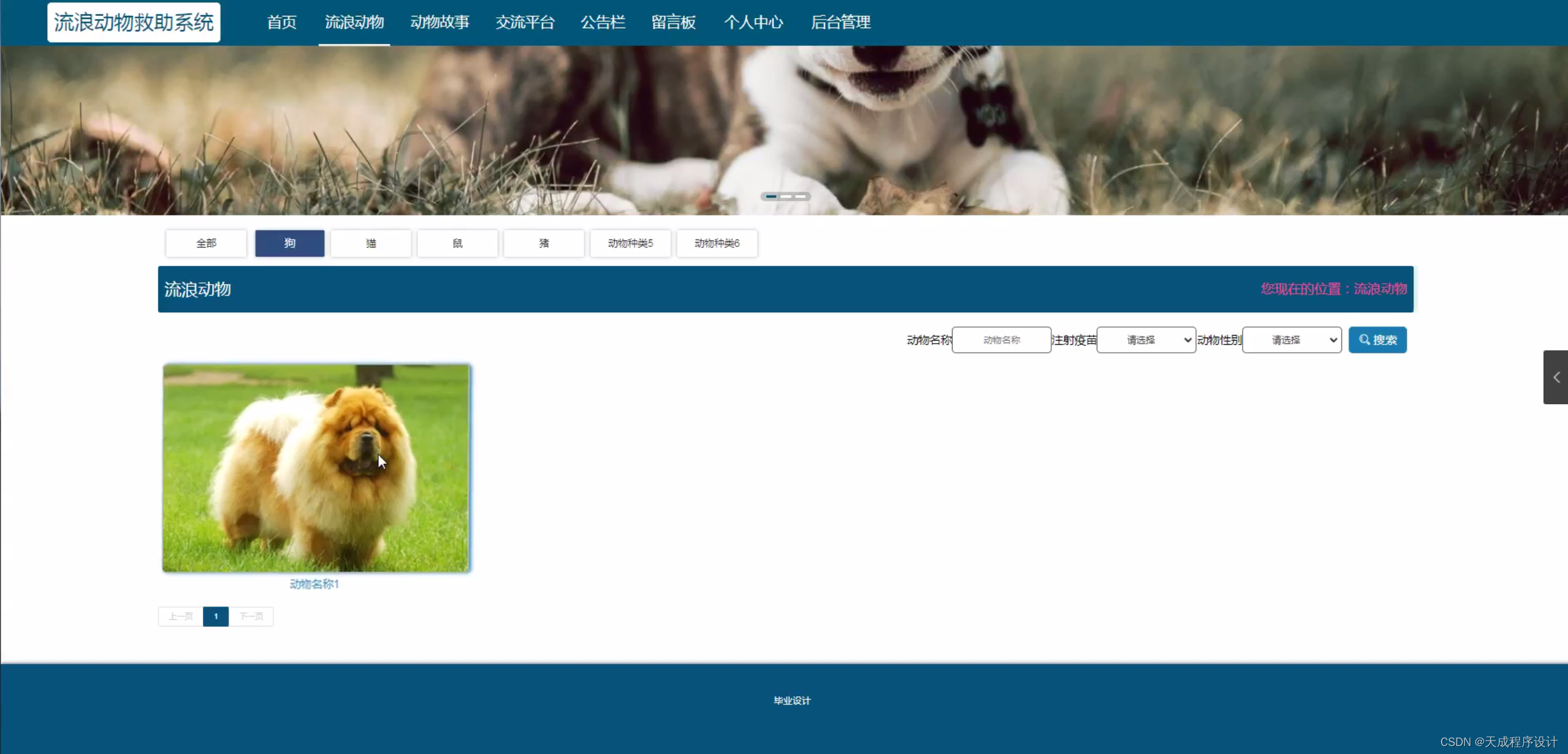 java流浪动物救助系统(ssm)-CSDN博客