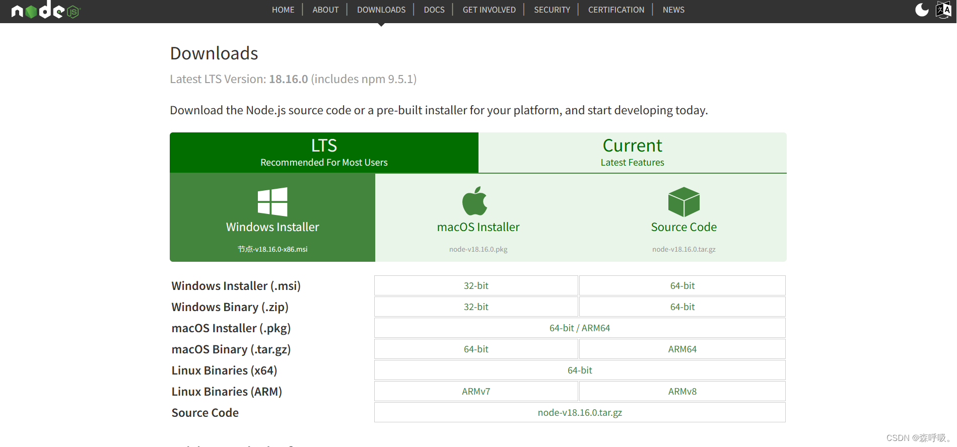 Node.js安装与环境变量配置指南-CSDN博客