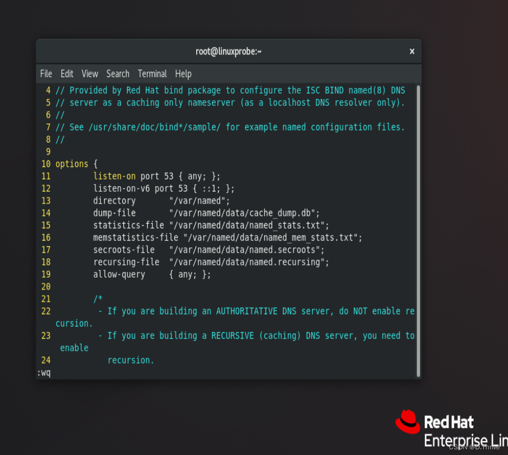 Linux实验记录：使用BIND提供域名解析服务_bind服务-CSDN博客