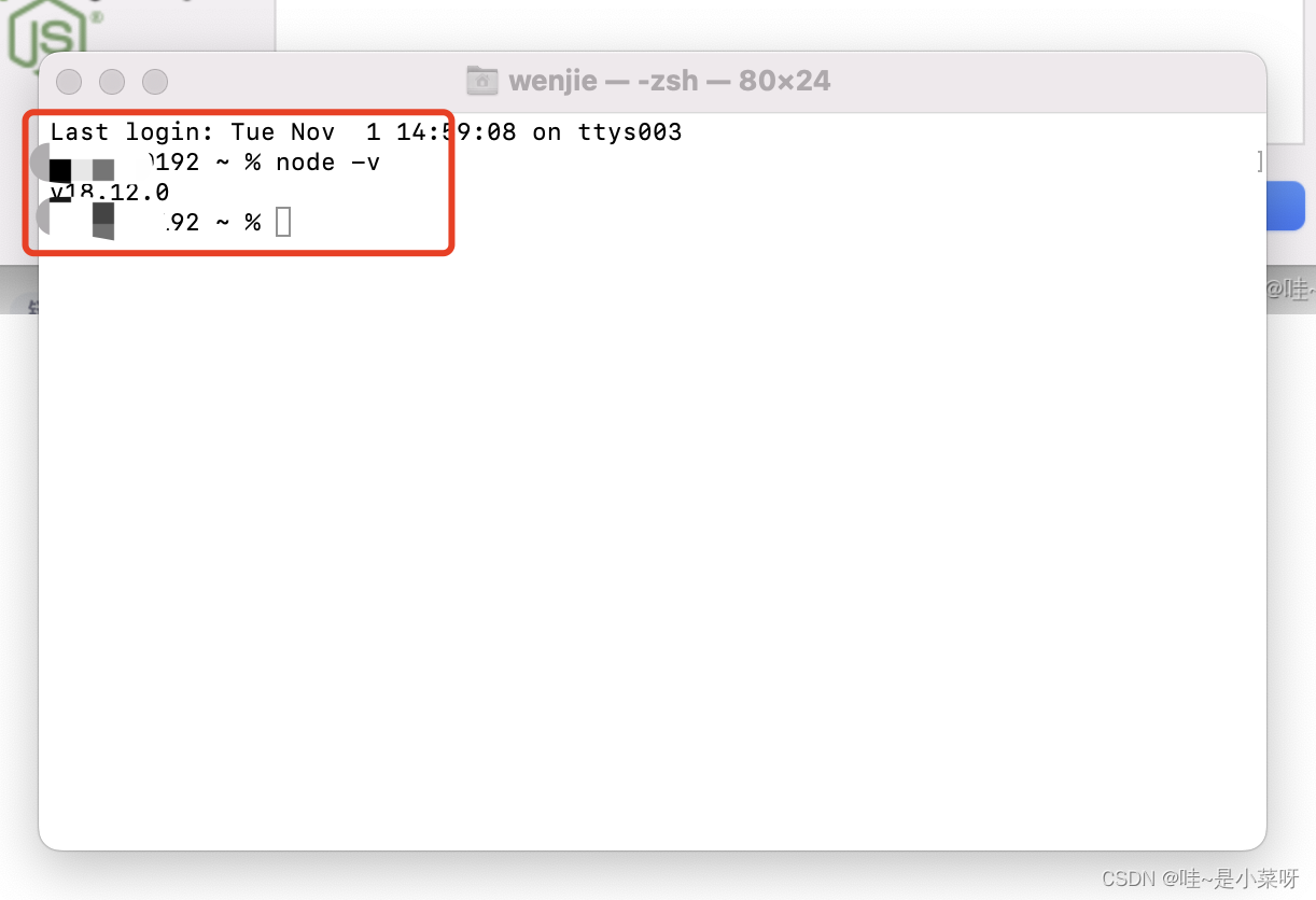 MacOs安装nodejs/npm——vsCode启动前端项目_npm for mac-CSDN博客