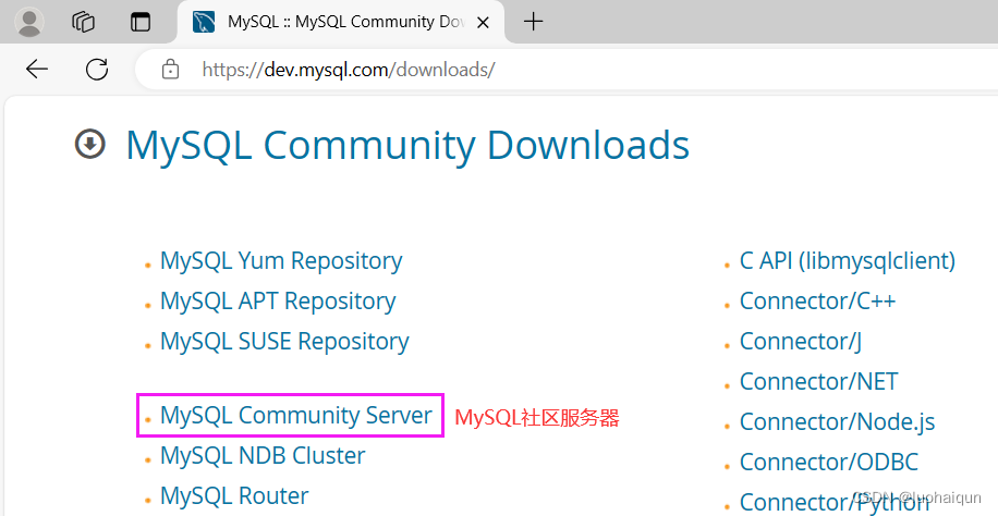 Mysql8最新下载与安装教程：从官网下载到环境配置详解,-CSDN博客