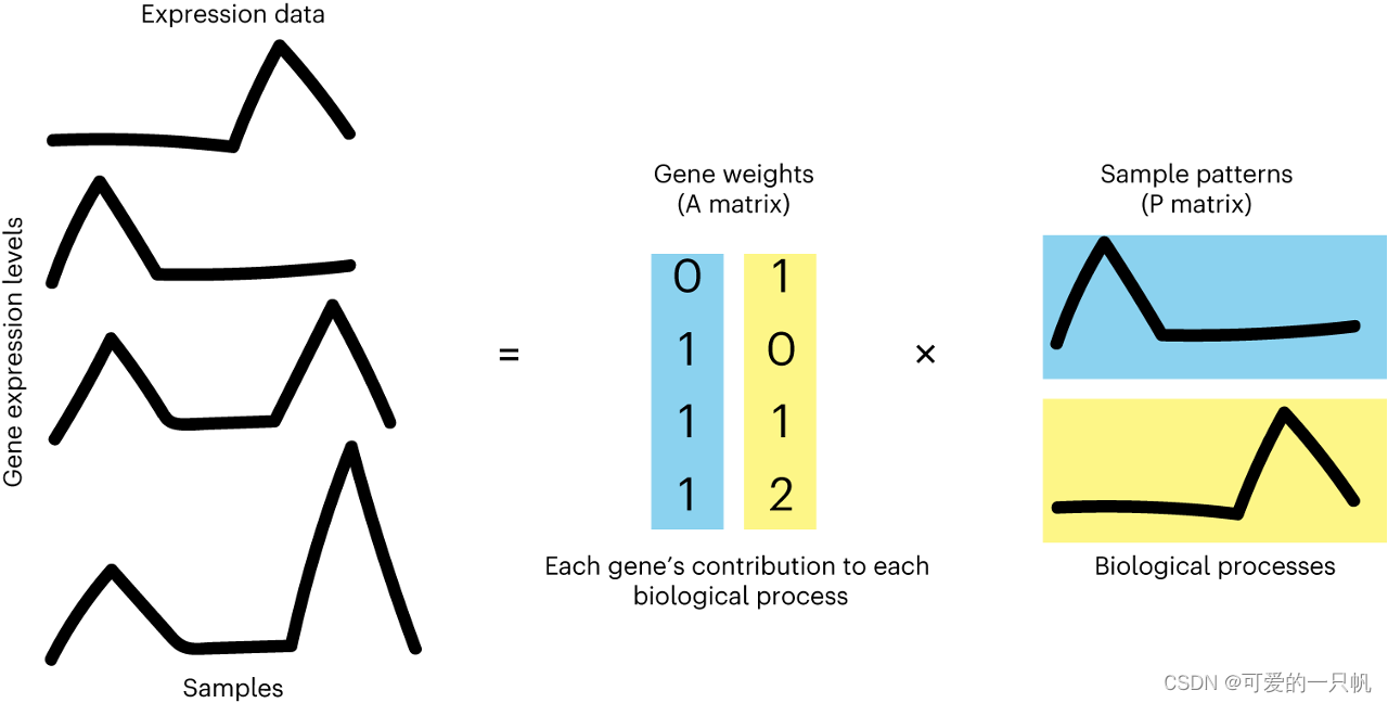 单细胞｜PyCoGAPS·非负矩阵分解整合单细胞数据-CSDN博客