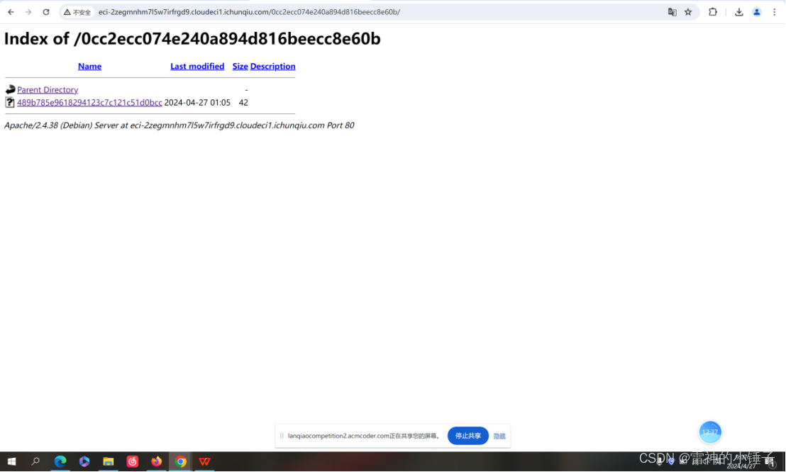 2024蓝桥杯网络安全挑战赛部分wp_2024蓝桥杯ctf-CSDN博客
