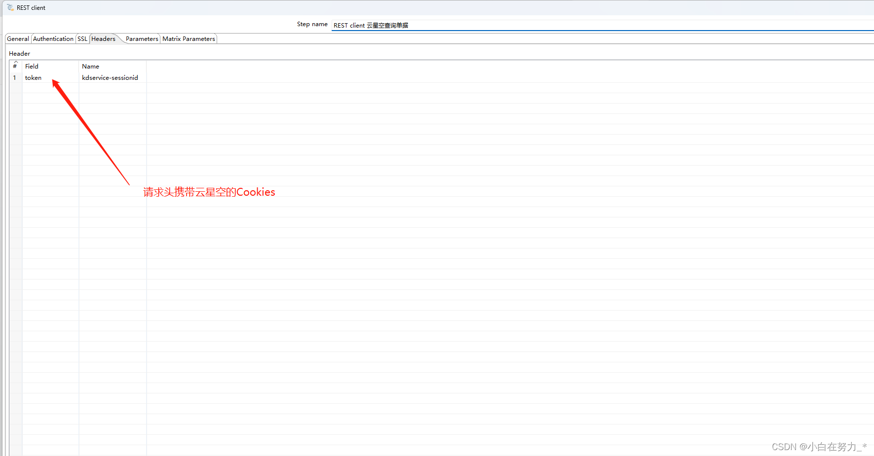 用Kettle调用金蝶云星空API实现数据清洗_用katte调用金蝶星空云api实现数据清洗-CSDN博客