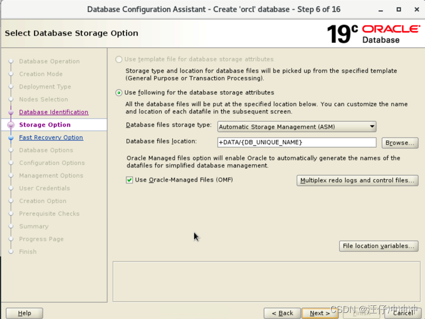 oracle 19c rac搭建详细攻略_oracle19c数据库实例-CSDN博客