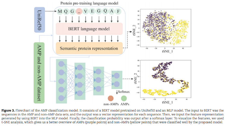 Brief. Bioinformatics2023 | 利用深度学习和分子动力学模拟设计抗菌肽_designing antimicrobial ...