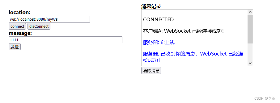 WevSocket(java基于注解实现)_java websocket 的注解-CSDN博客