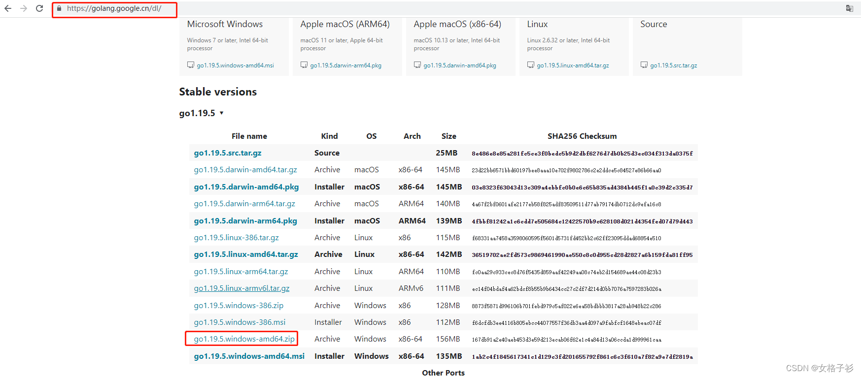 VSCode安装GO插件的运行第一个Go程序_vscode运行go程序插件-CSDN博客
