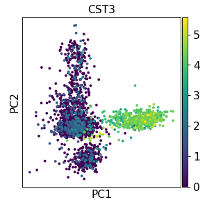 单细胞分析的 Python 包 Scanpy（图文详解）-CSDN博客