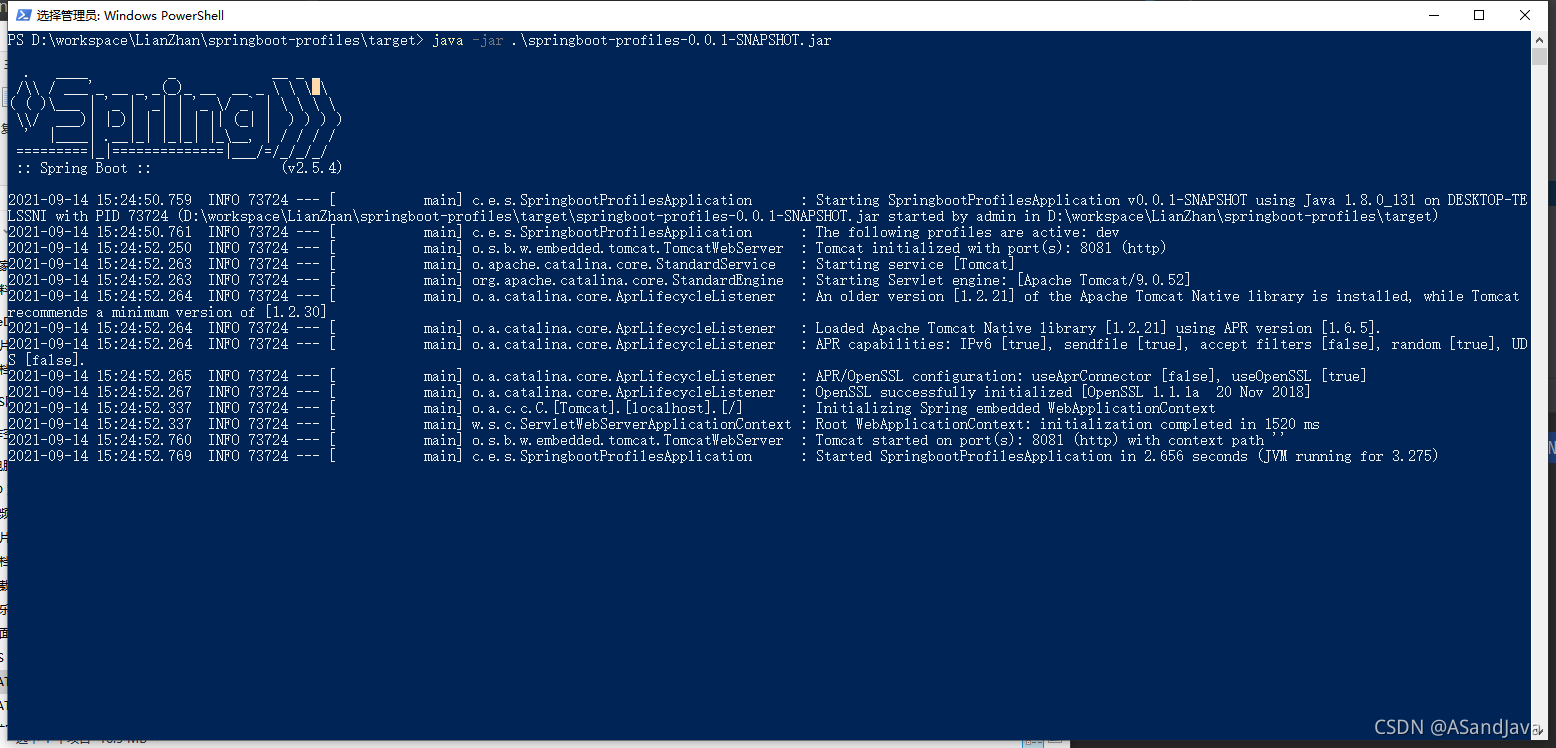 SpringBoot工程若干问题_autowiring for beanclass-CSDN博客