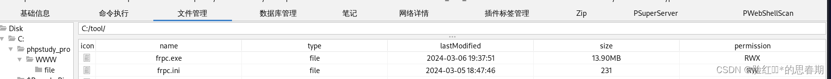 frp内网穿透(socks隧道)_frp socks5-CSDN博客
