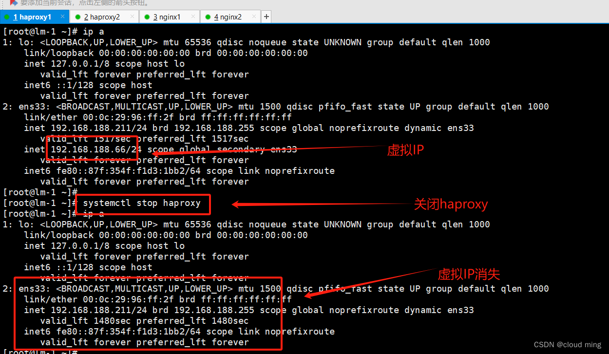 Keepalived + Haproxy实现高可用和负载均衡_keepalived 如何实现 haproxy 高可用-CSDN博客